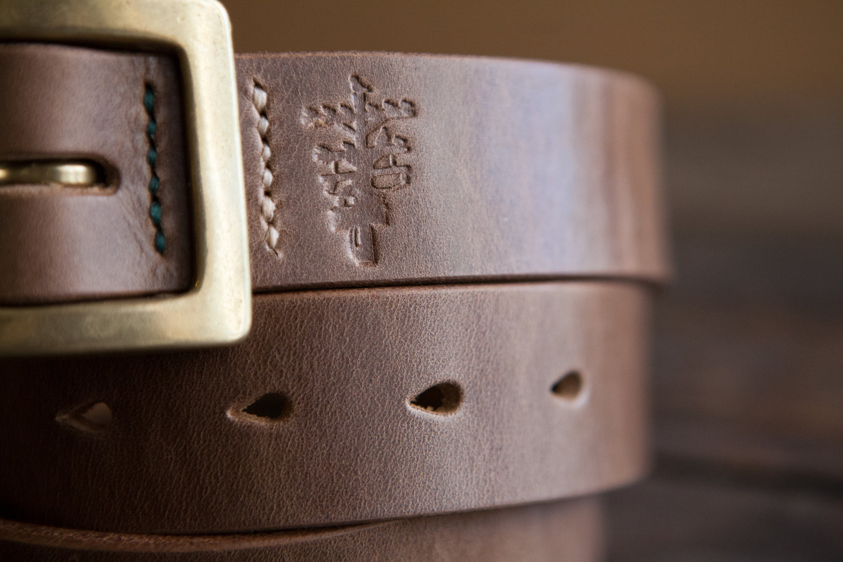 35mm Japanese Garrison Brass Belt - You choose the leather! – Pigeon Tree